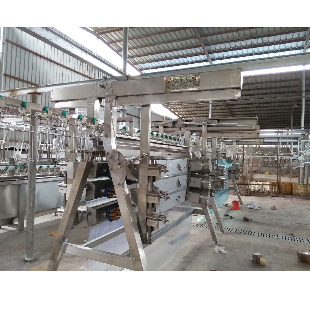 Poultry Slaughter Machine Hanger/slaughterhouse Equipment - Buy Poultry ...