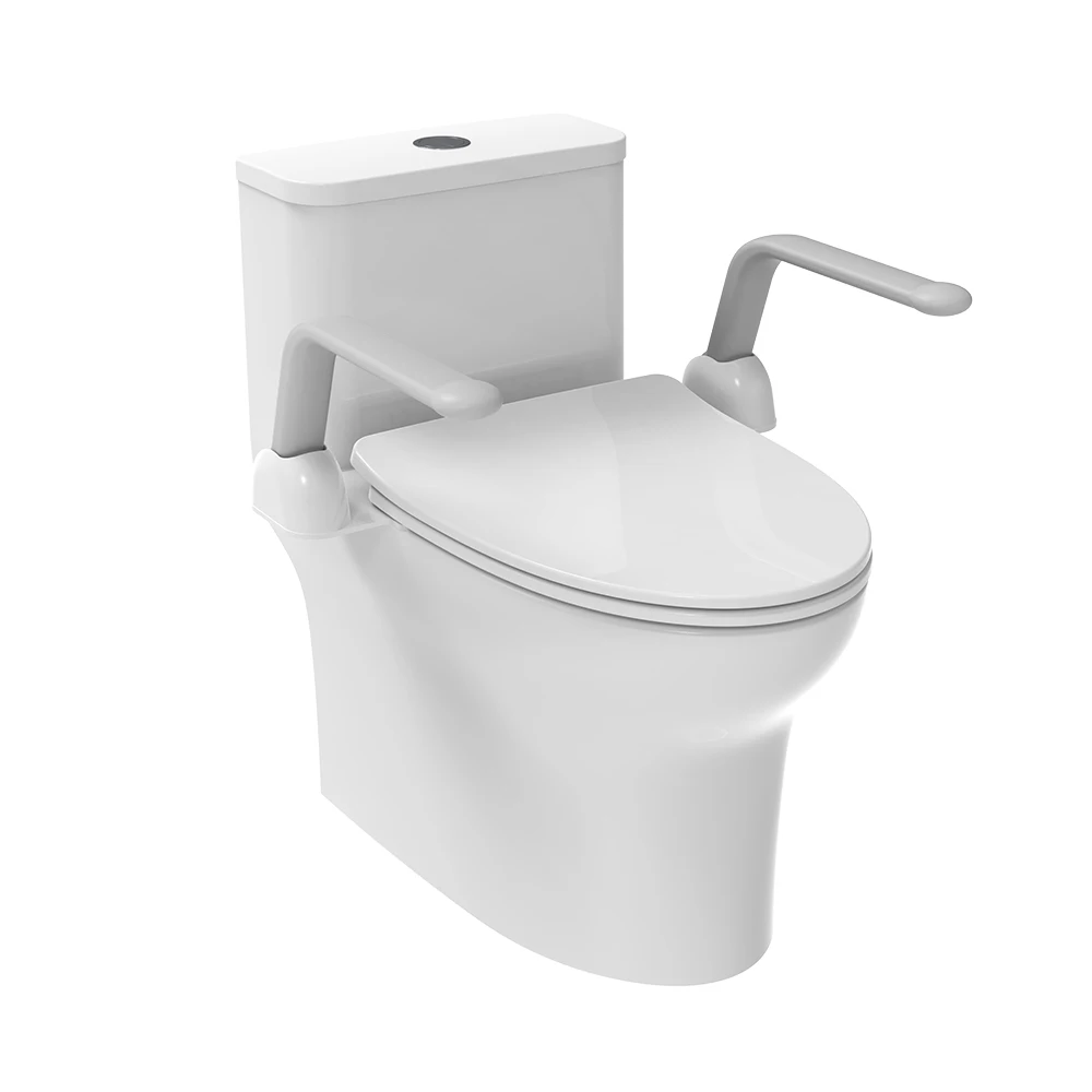 Safe and Stylish: Toilet Support Arms for Disabled Elderly