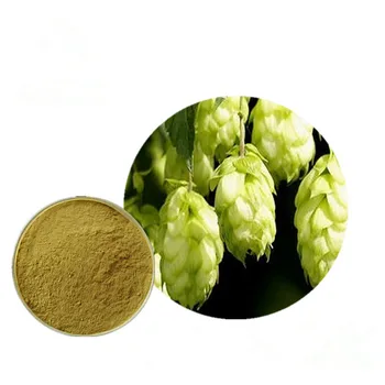 100% Natural China Herb Hops Extract Powder/humulus Lupulus Extract ...