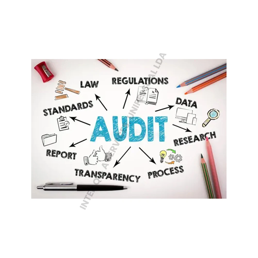 Professional Third Party Factory Quality Audit and Supplier ...