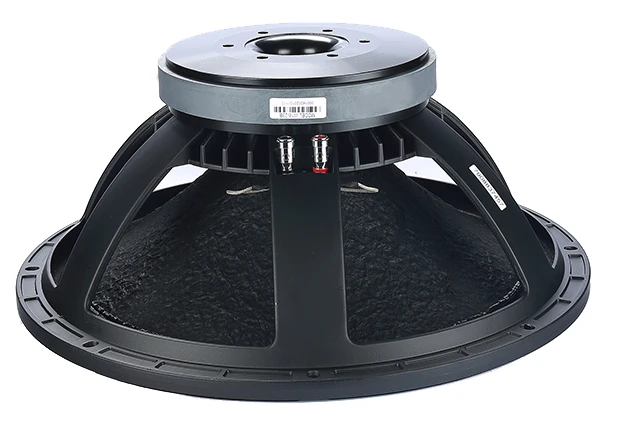 18 Inch Professional Audio System - Powerful Subwoofer