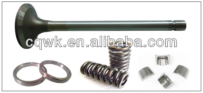 Cummins Vessels Diesel Engine Valve Rotator 3081081 Supply With After ...