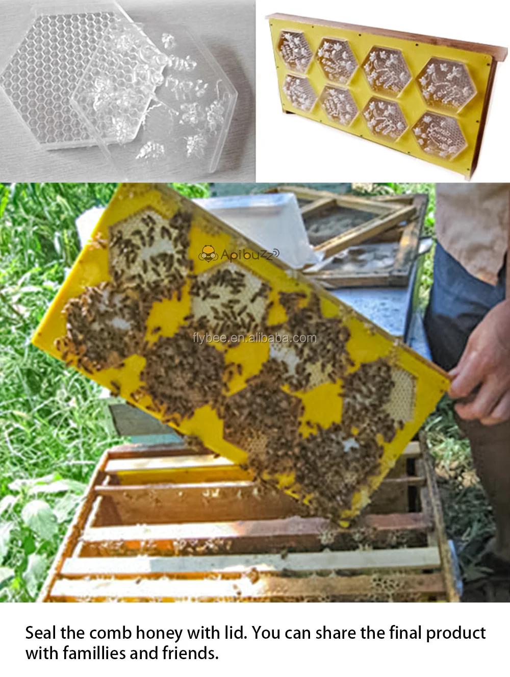 Hexagon Shaped Plastic Comb Honey Beehive Frames & Cassettes