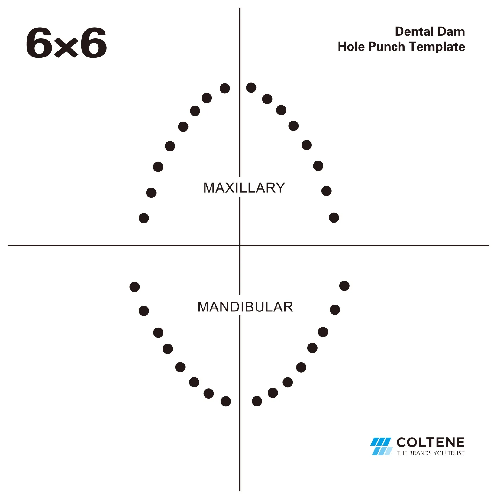 CE Approved COLTENE Dental Dam Kit - Green Medium Dental Rubber Dam