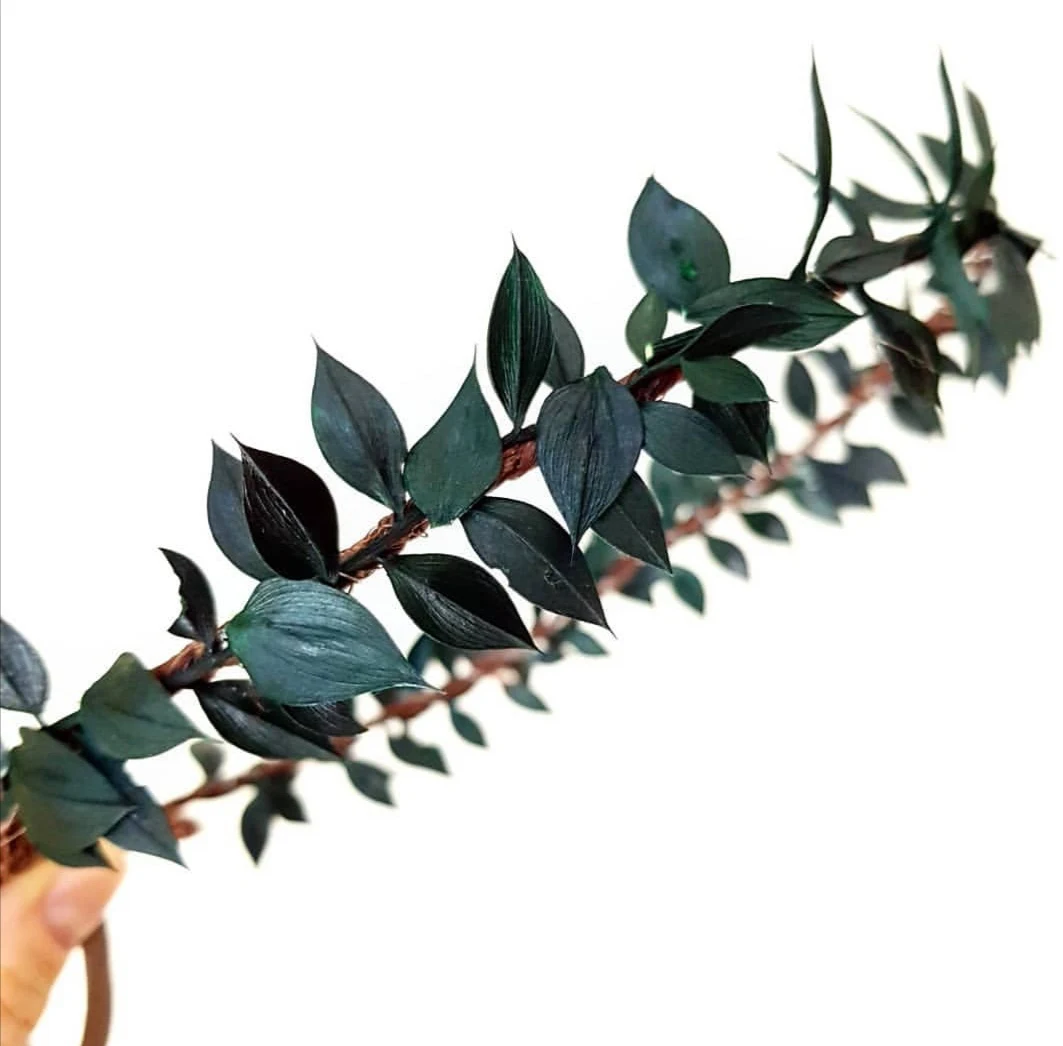 Wholesale Natural Dried Flower Preserved Ruscus Leaf/leaves For Home ...