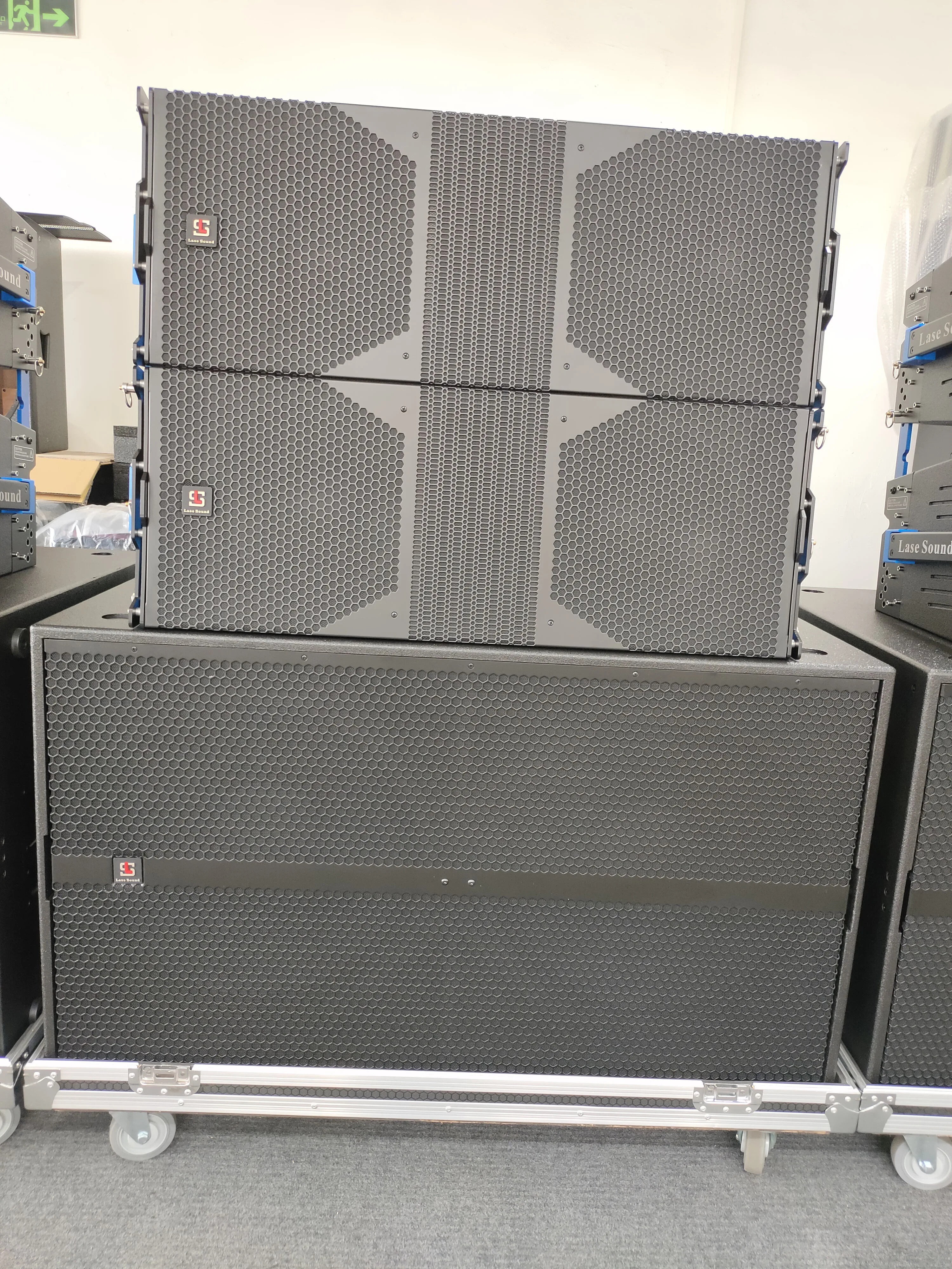 Lase Sound A-10WD - Professional 10 Inch Line Array Speaker