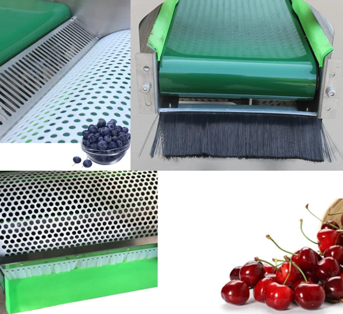 Stainless Steel Electric Fruit Size Grading Machine Blueberry Sorter ...