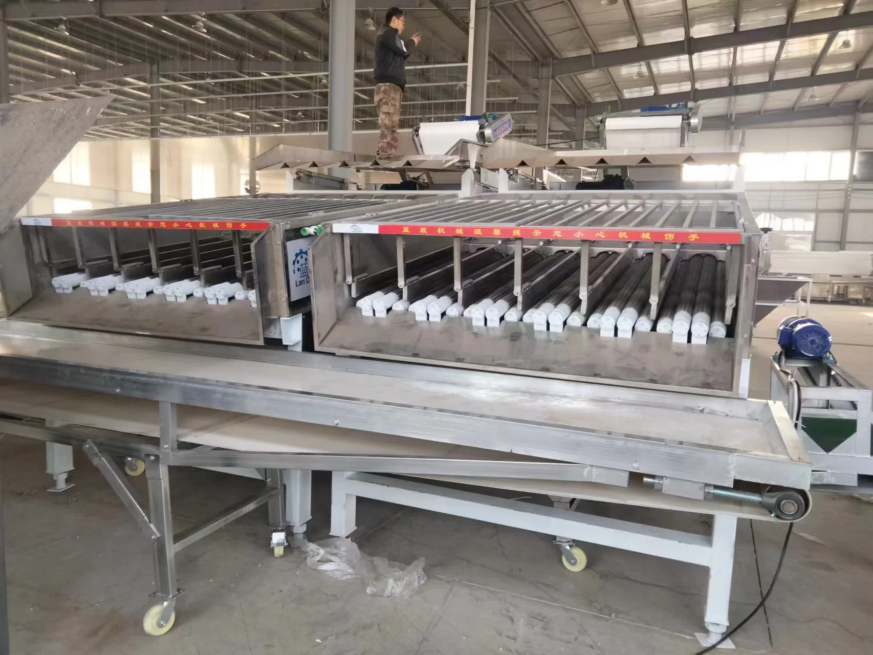 Fresh Corn Peeling Production Line|high Quality Fresh Corn Peeling ...