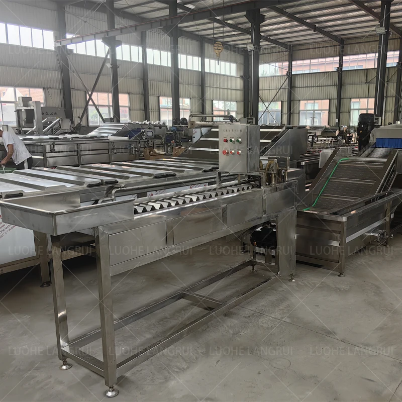 Fresh Frozen Carrot Maize Head And Tail Slicer Sweet Corn Sticks Cutter ...