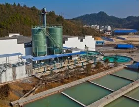 Food Grade Cellulose Fiber Filter Aid Powder - Wood Cellulosic Fiber