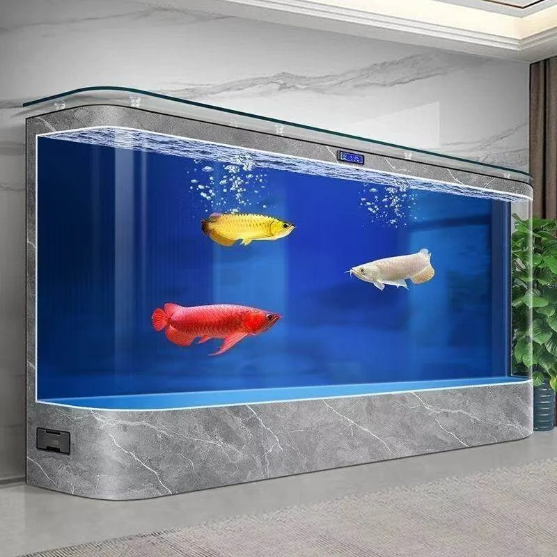 How to Choose Cool Aquariums in 2026 — A Practical Guide