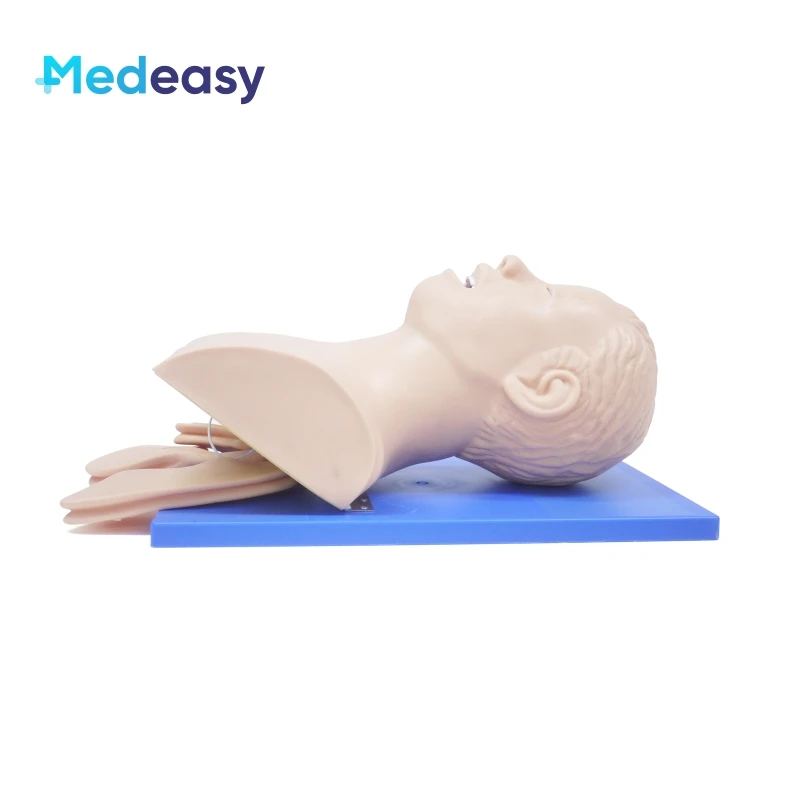 Adult Airway Intubation Training Mannequin | Realistic Medical ...