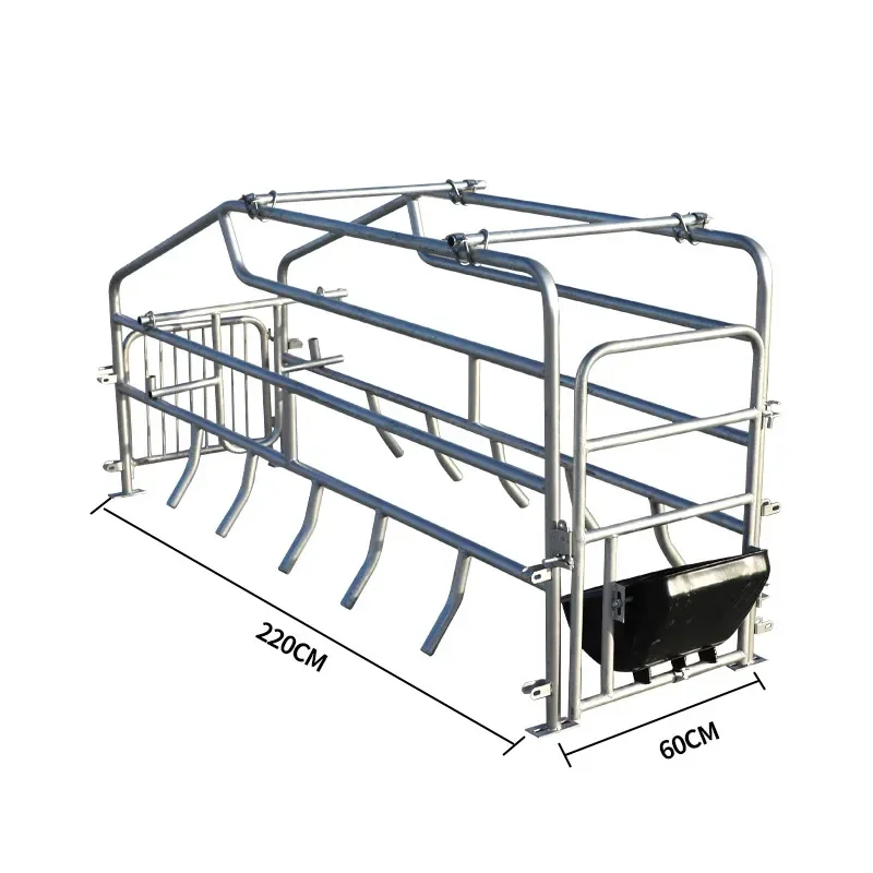 Pig Farrowing Crate - Efficient Sow Management Solutions