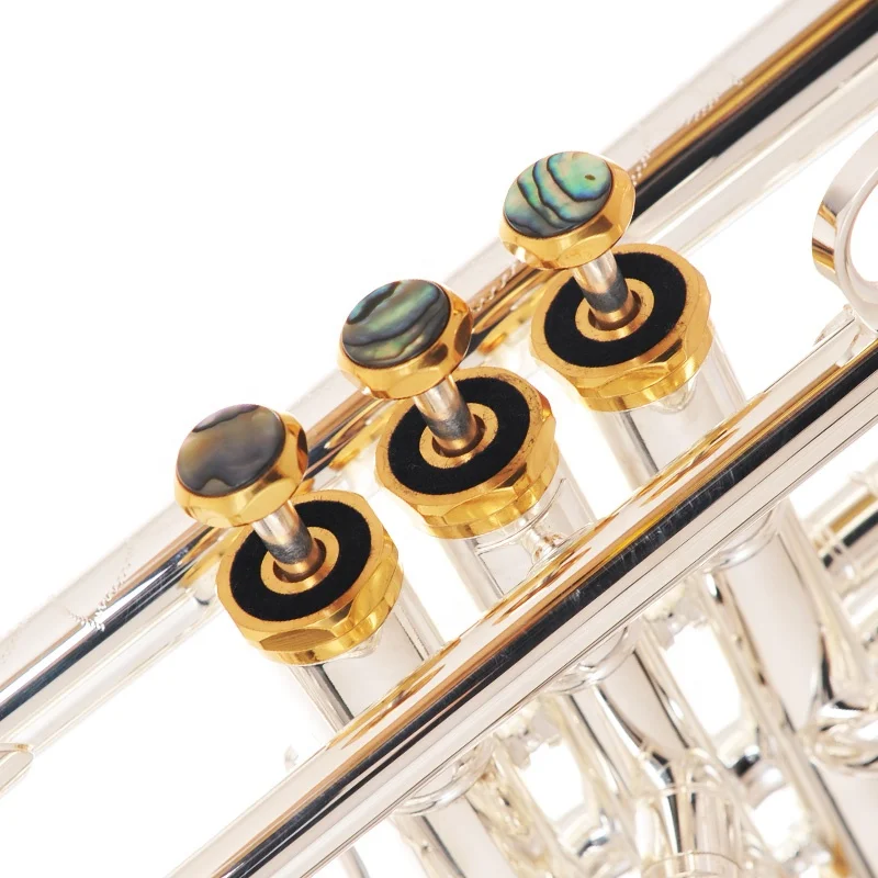 Professional Trumpet Instrument - Silver Plated & Hand Carved