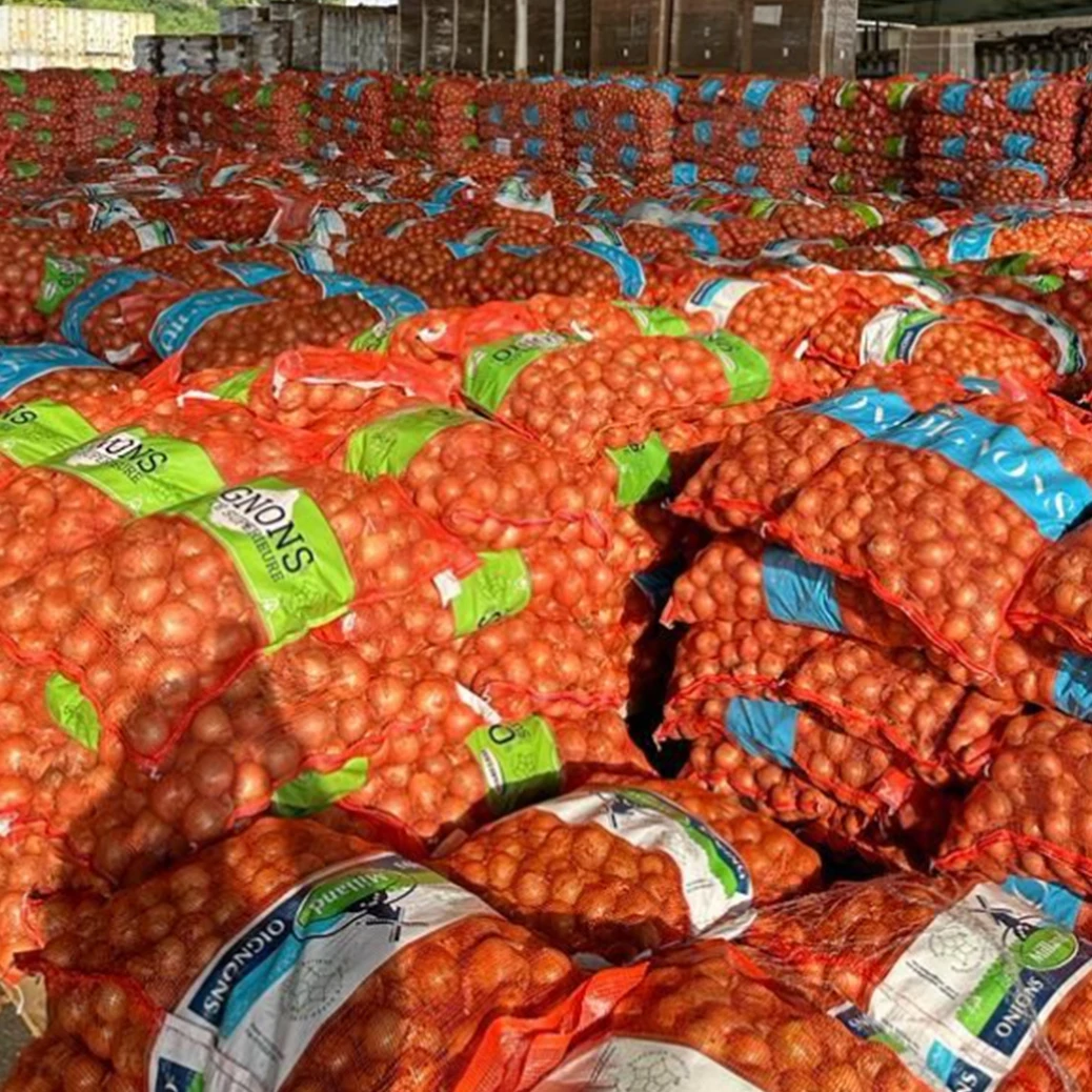 Fresh Brown Onions Holland The Netherlands For Wholesale Private Label ...