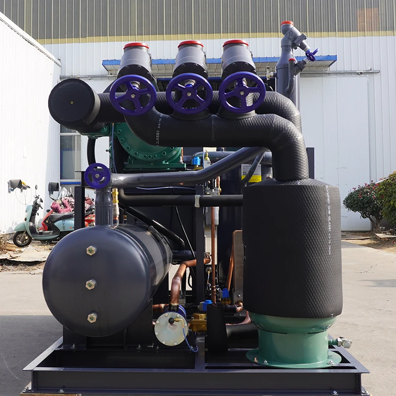 Bitzer Piston Screw Compressor Condensing Unit Air Cooled Unit For ...