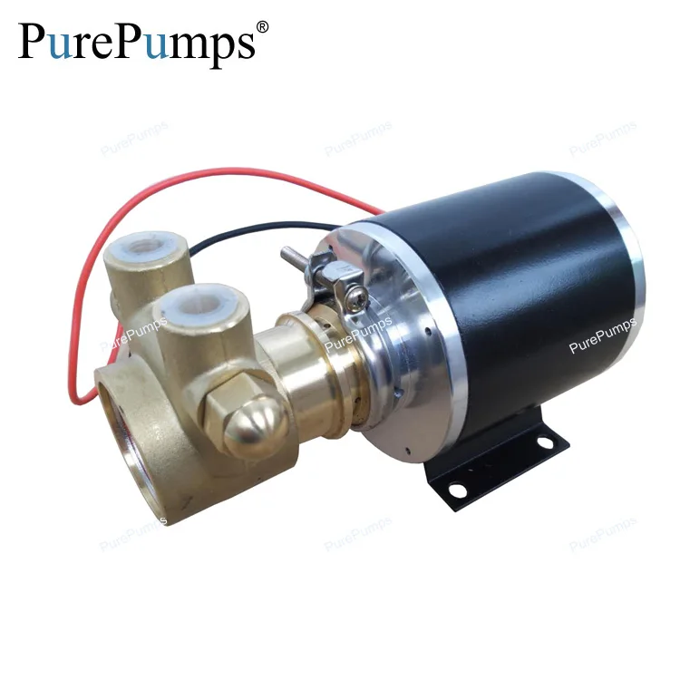 300w BLDC 12v Motor for Espresso Coffee Machines - Purepumps