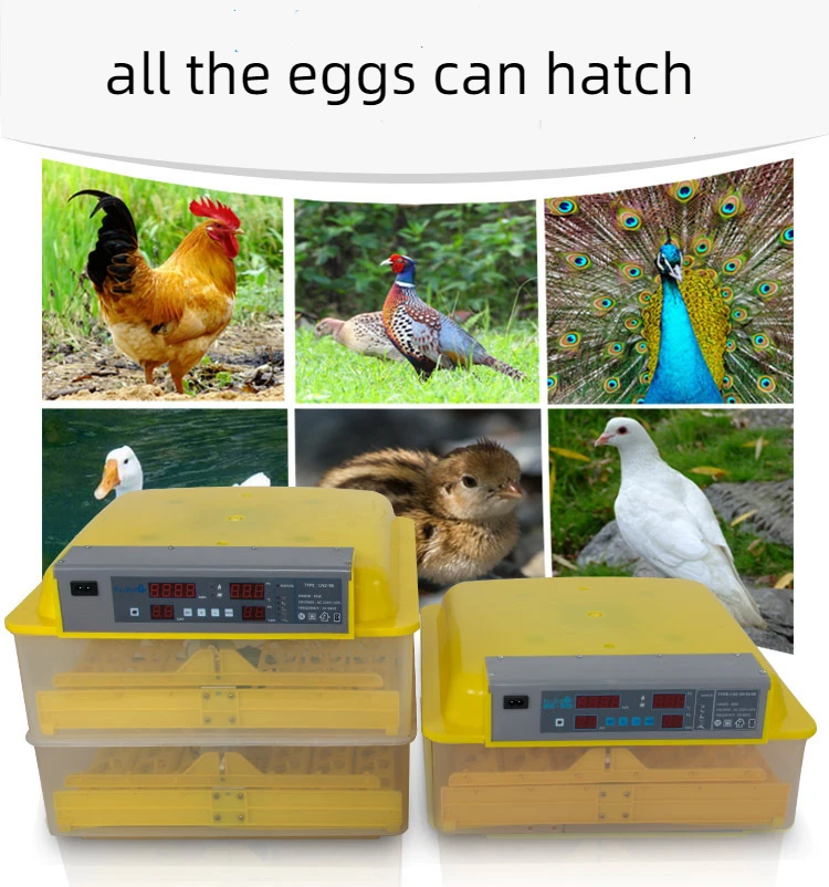 Automatic Control Chicken Egg Incubator for Hatching Eggs - OEM