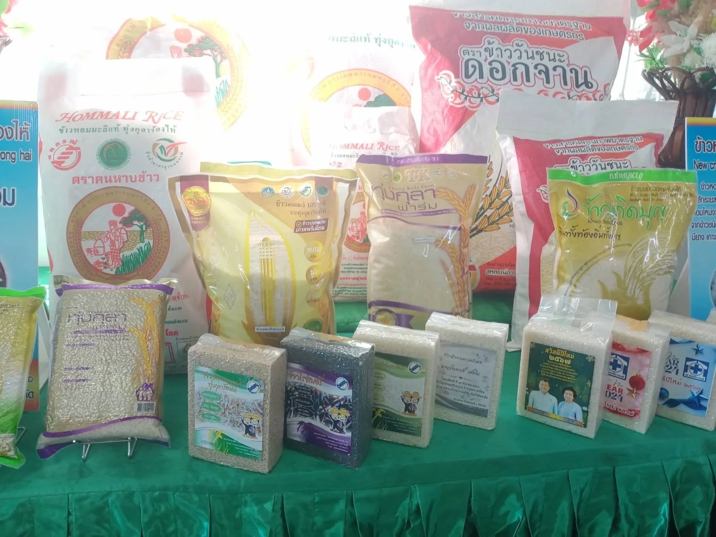 Thai Jasmine Rice Thung Kula Farm Good Rice Premium Grade For Export ...