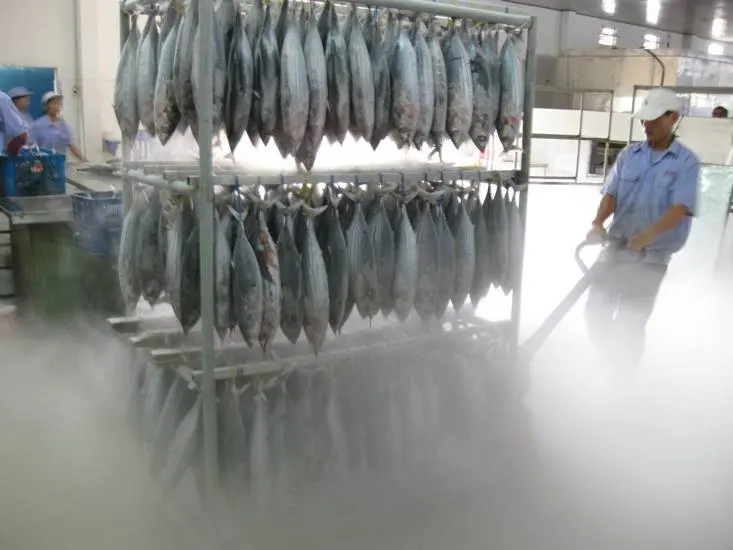 Ultra Low Temperature -60C Blast Freezer for Tuna Fish