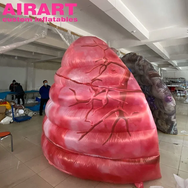 Giant Inflatable Lung - Display Newest Design Product