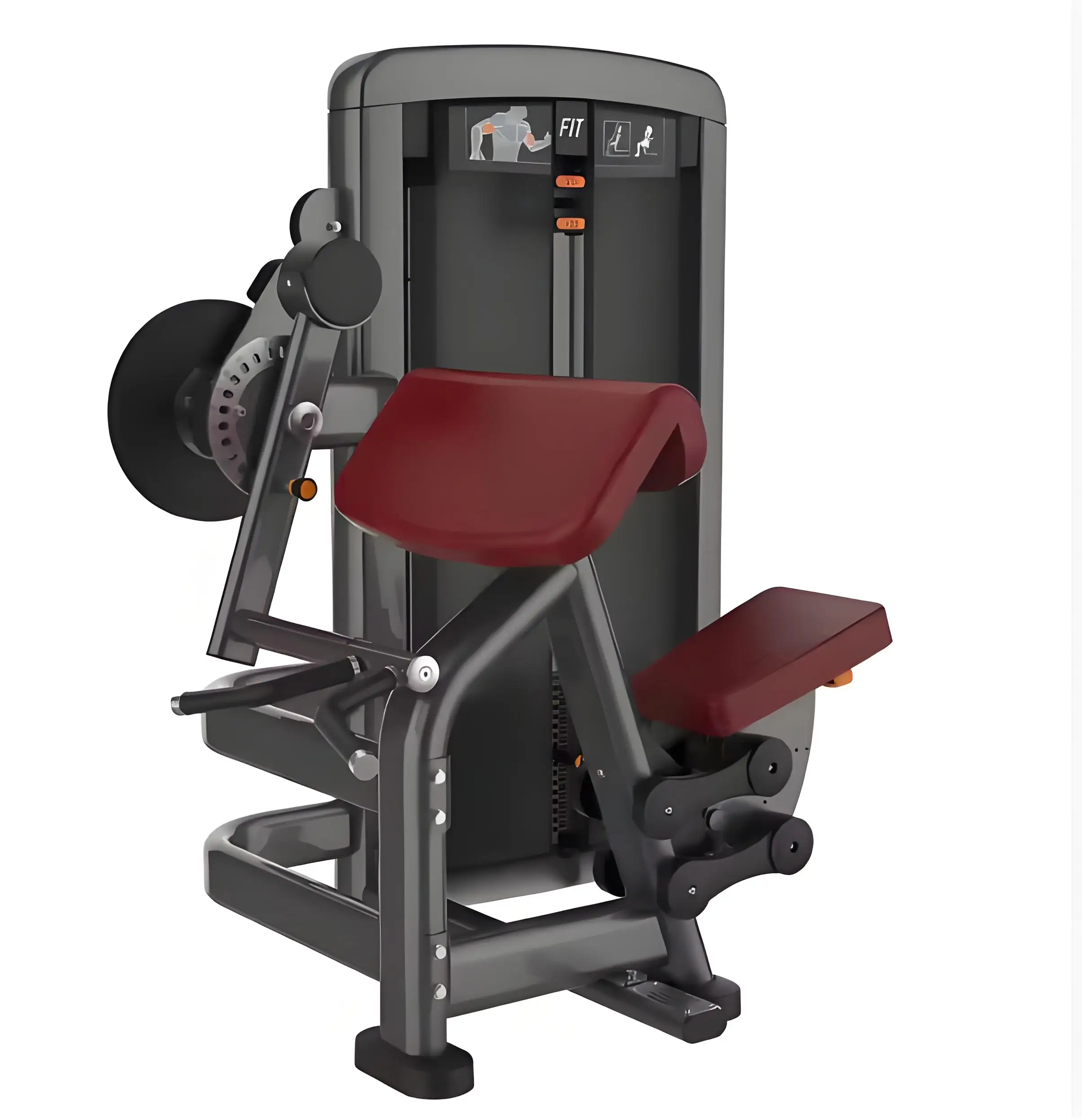 Bicep Blaster 45° Curl Station - Versatile Fitness Equipment for All ...