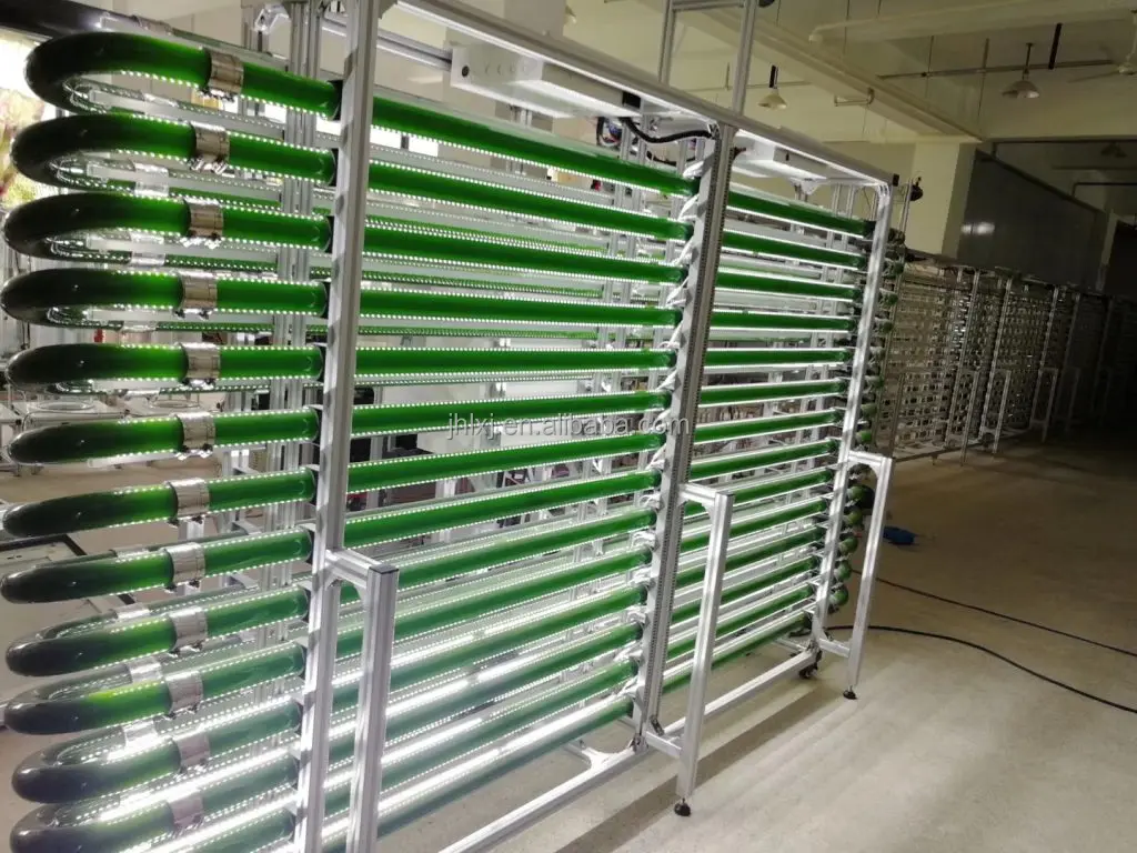 Algae Cultivation Pipeline Photobioreactor - Automatic & Efficient