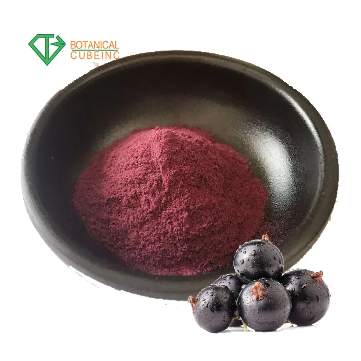 Food Grade Wholesale Bulk Organic Freeze Dried Blackcurrant Black ...