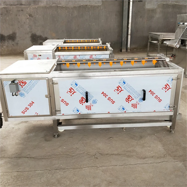 Automatic Large Sea Bass Washer Washing Oyster Machine Shell Cleaning ...