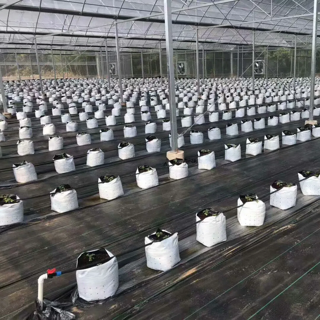 PE Poly Black White Grow Bags - Eco-Friendly Planting Pots