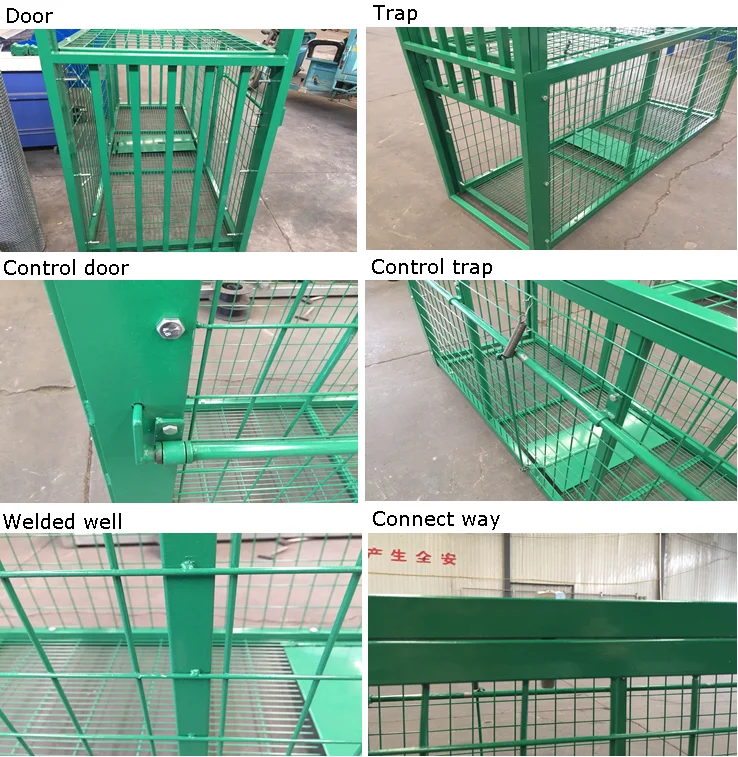 Length 2200mm Width 800mm Square Two Door Animal Trap for Wild Pig ...