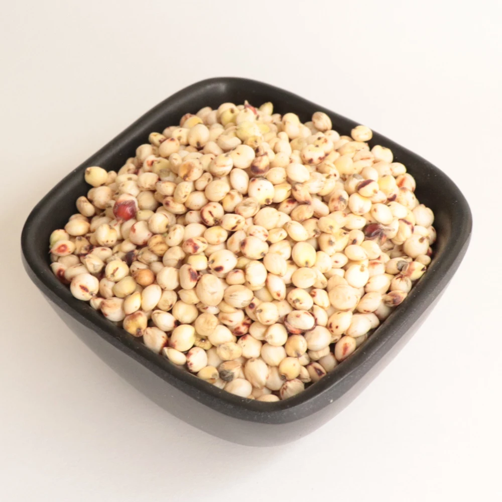 Organic Sorghum White Milo Grains Sorghum Price Pe White Sorghum - Buy ...
