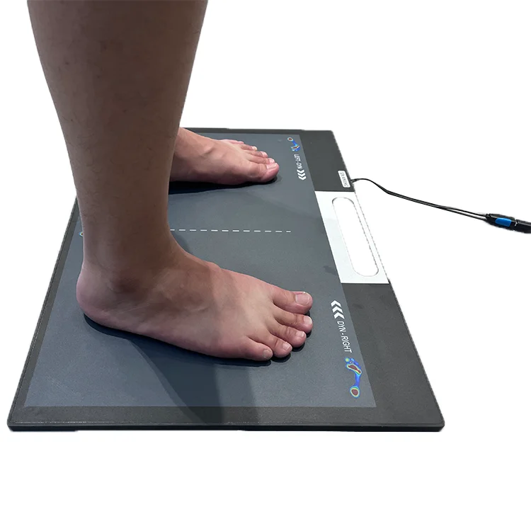 Comprehensive Foot Pressure Analysis System for Evidence-Based Foot ...