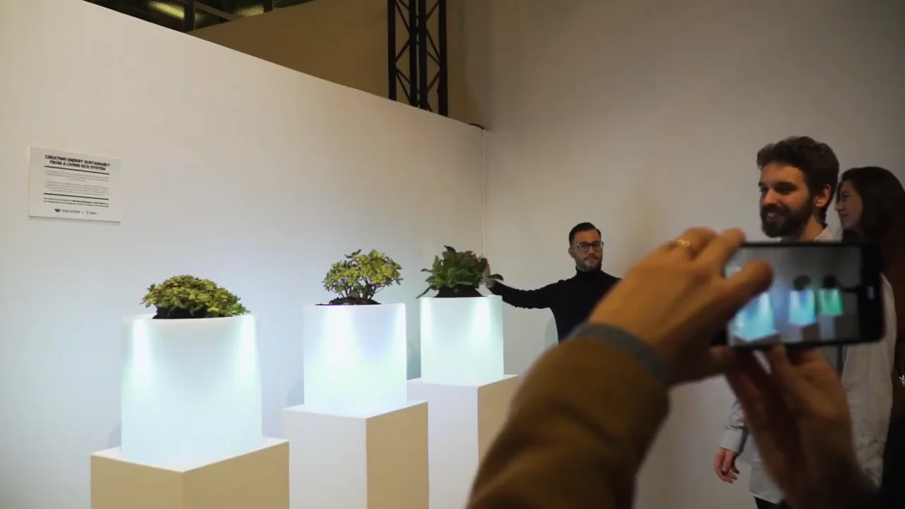 Outdoor Color Changing Waterproof Plastic Led Illuminating Light Plant ...