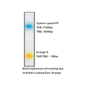 Xylene Cyanol Reagents Electrophoresis Dna Ibi