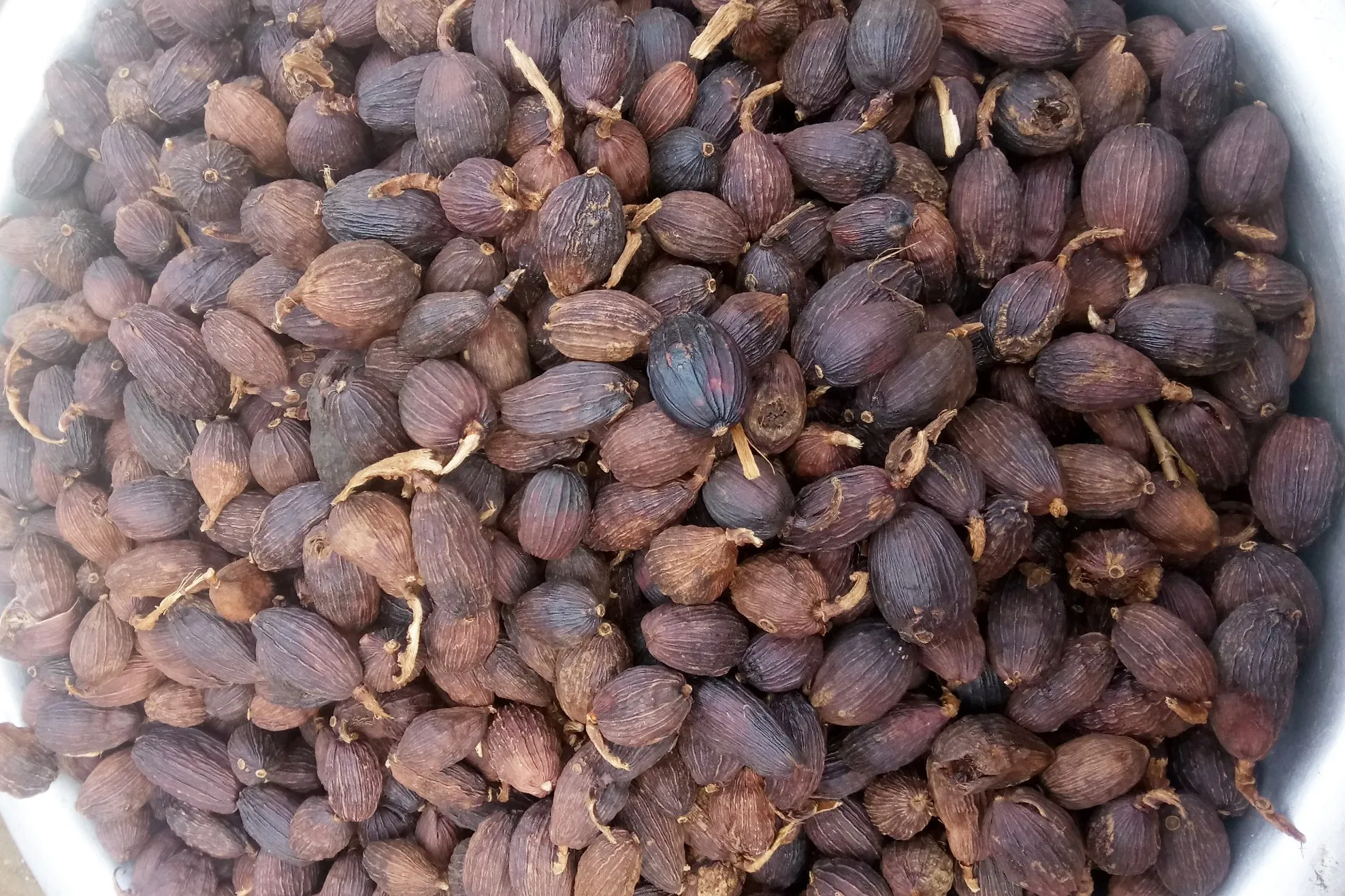 Dry Black Cardamom - Natural Spices for Food & Medicine