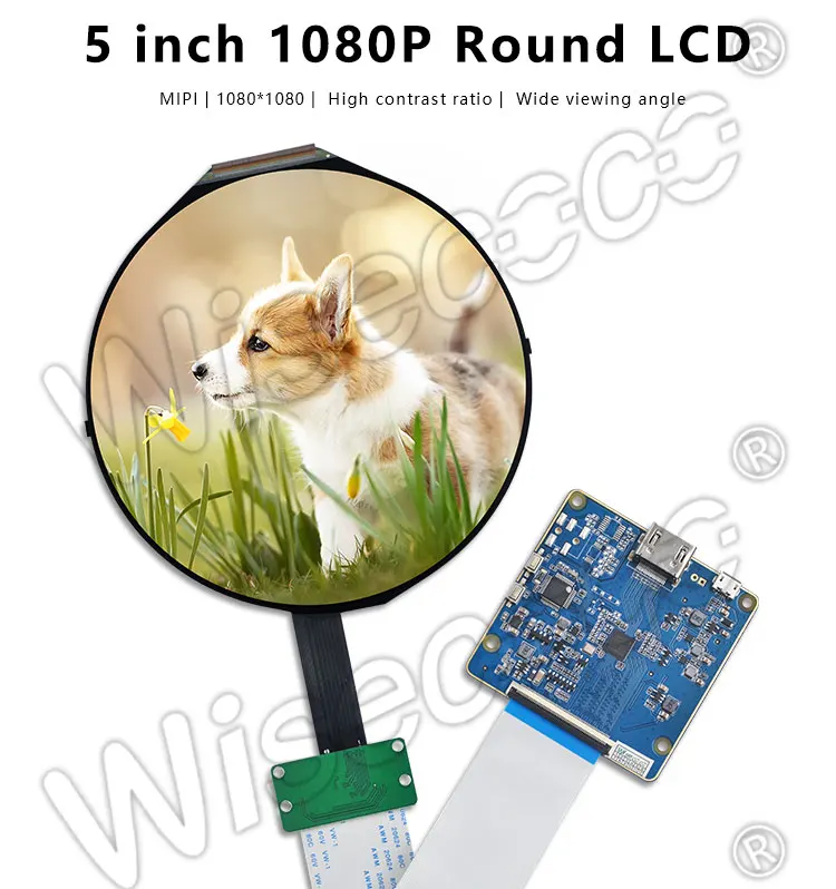 5 Inch Round Screen - Wisecoco 1080*1080 IPS TFT LCD