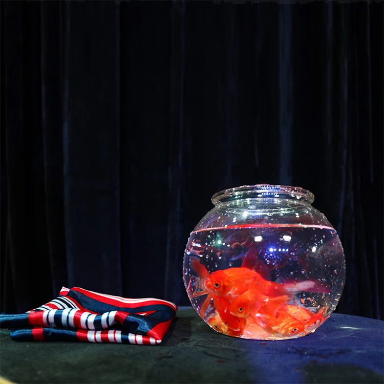 Classic Fish Appearing Gimmick Magic Goldfish Bowl - One Size, OEM ...