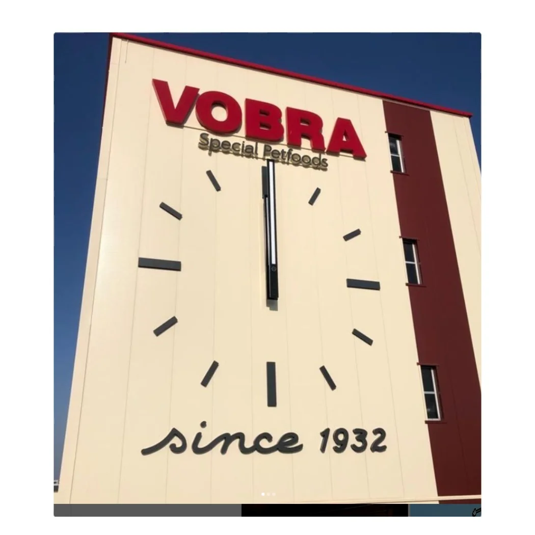 Customizable Tower Clocks from Italy - Perfect for Buildings