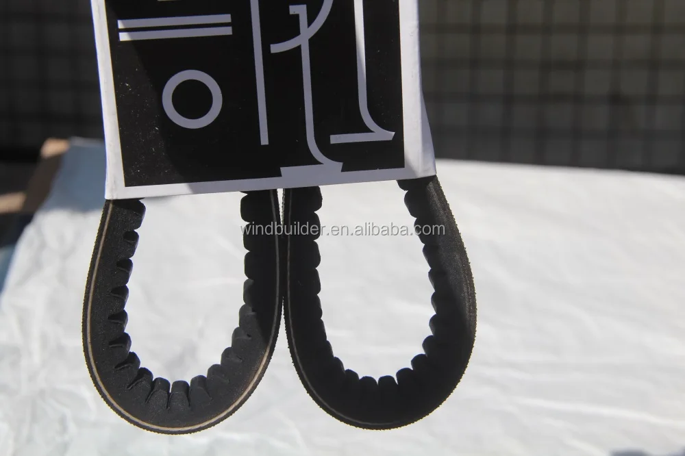 Genuine Cummins NTA855 V Belt 178691 - Reliable Performance