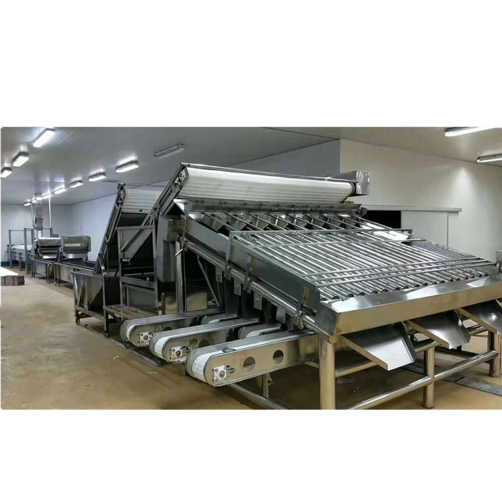 Shrimp Sorting Machine 1000kg/h Grading Machine Stainless Steel - Buy ...