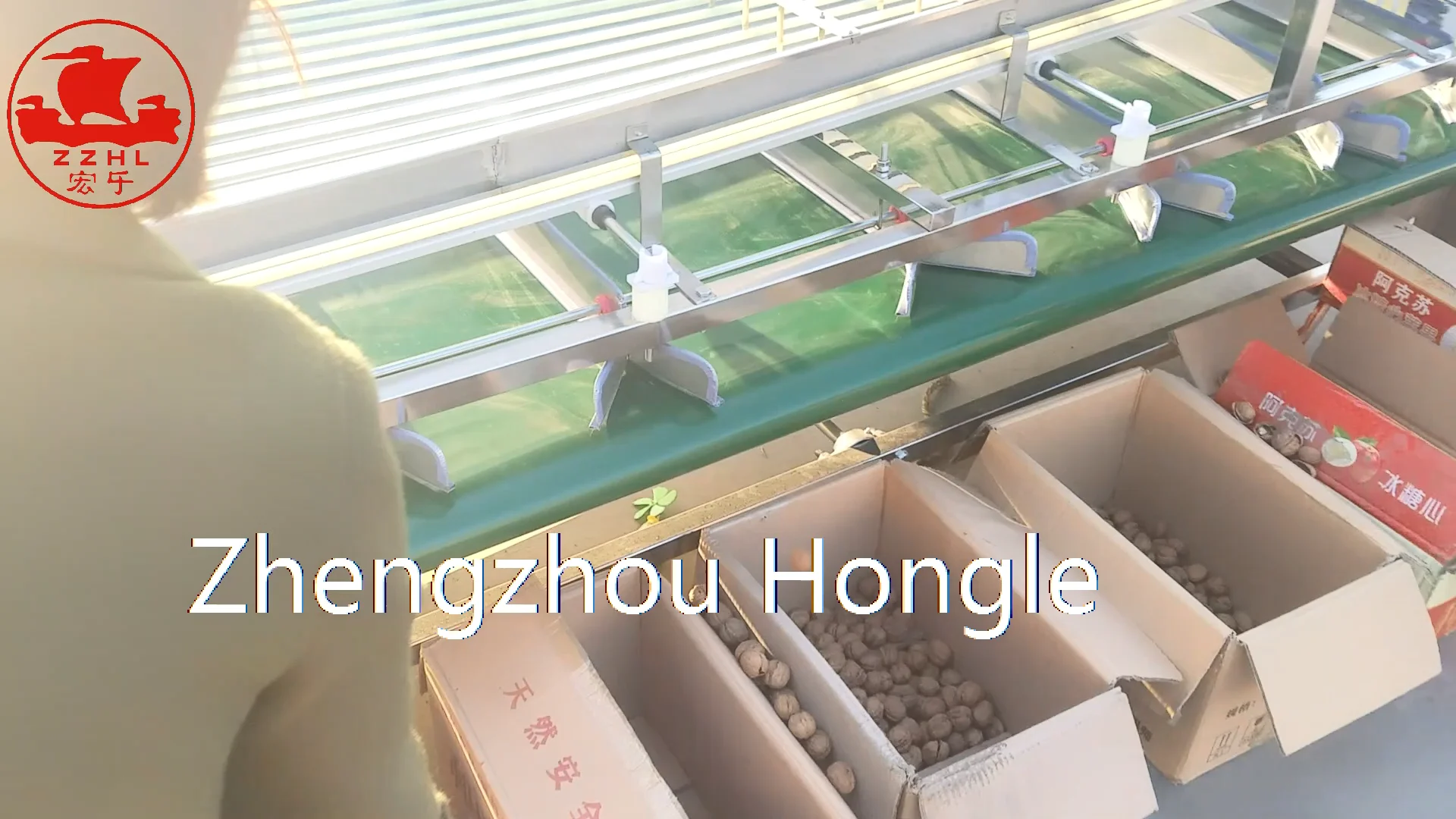 Tomato Onion Size Sorting Grading Machine Fruit And Vegetable Sorting ...