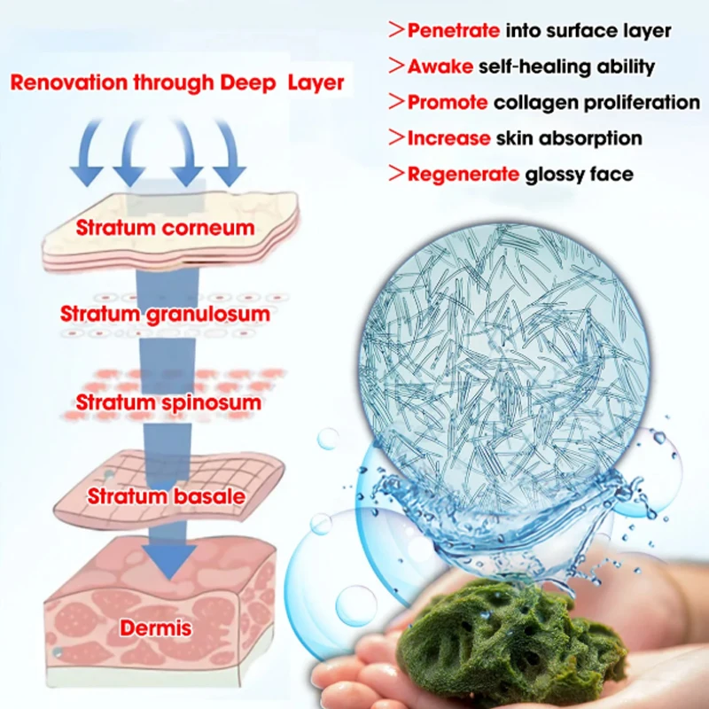 Algae Peel Set Biomicroneedling Spongilla Spicules Natural Algae Peel ...