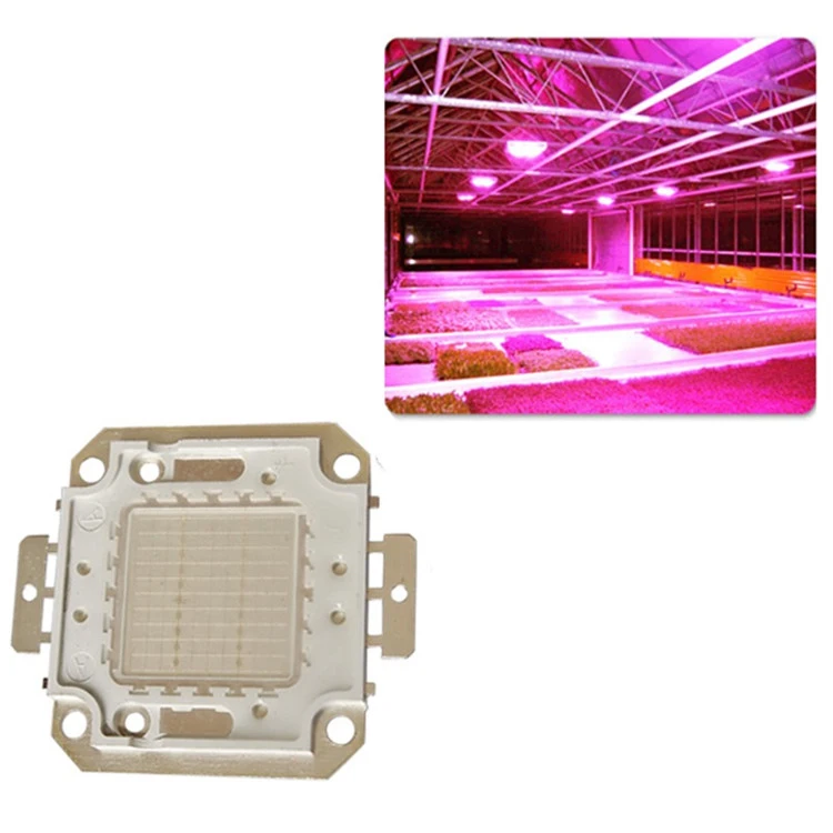 Czinelight High Power COB LED Chips - Full Spectrum Lighting