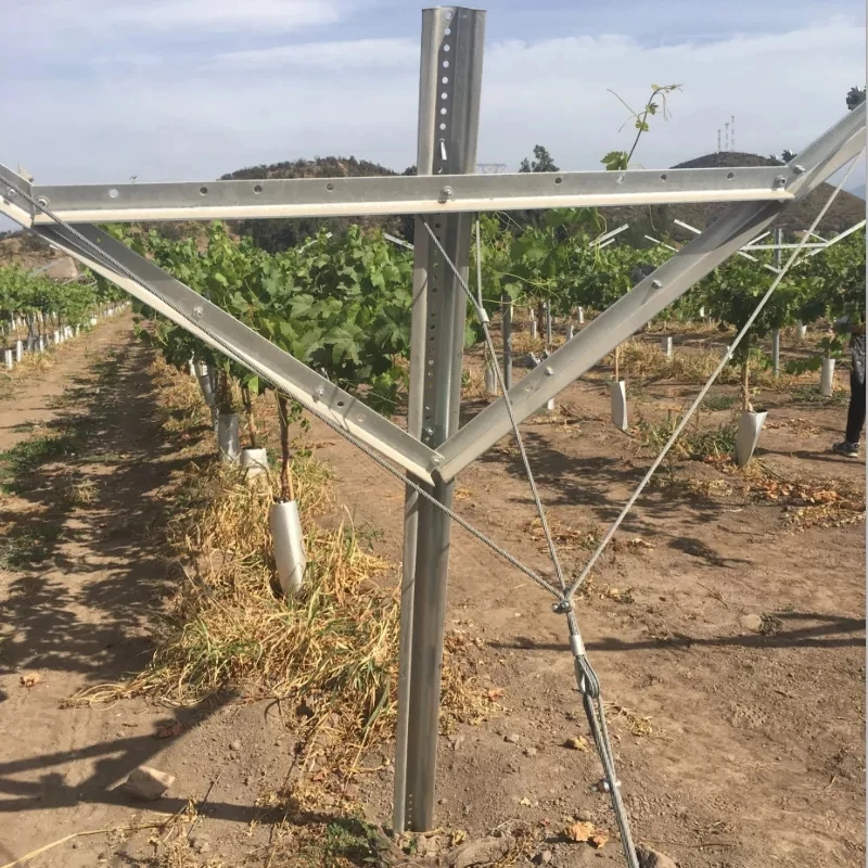 Metal Y Sharp Open Gable Trellis System New Type Grape Trellis - Buy ...