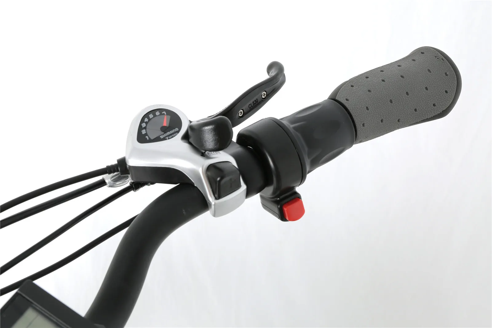 Petrigo Chinese Cheap E-bike Motor Adult Electric Bike 36v/48v 250w ...