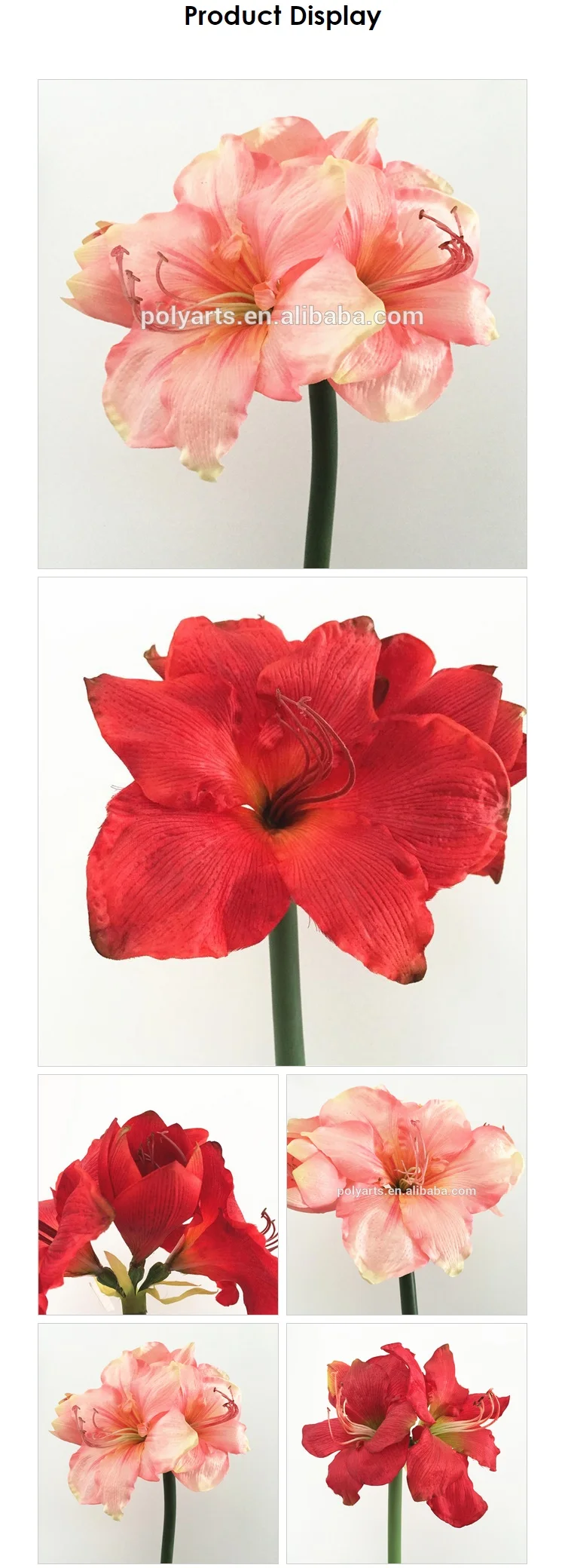 New Arrival Real-touch Silk Artificial Amaryllis With Foam Stem - Buy ...