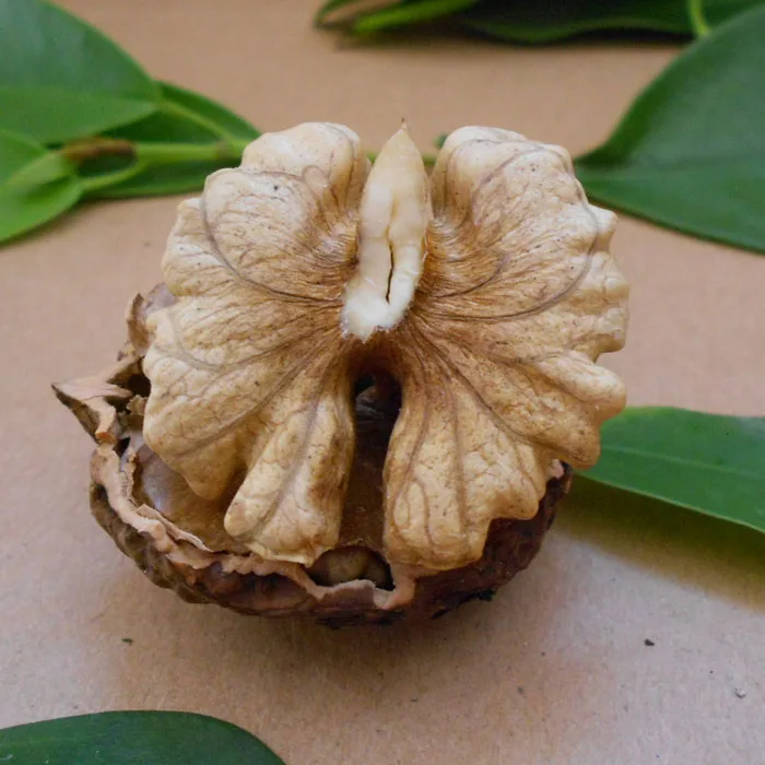 2022 Yunnan Walnut Kernels Chinese Walnuts/ Walnut Kernels /walnut ...