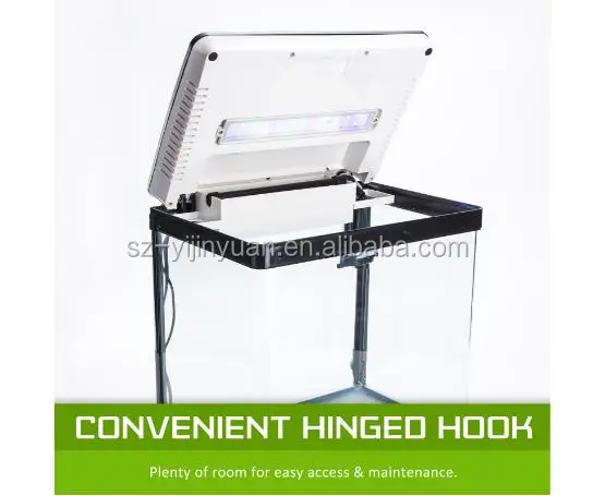 Rectangle Small Acrylic Fish Tank with Filter & LED Lighting