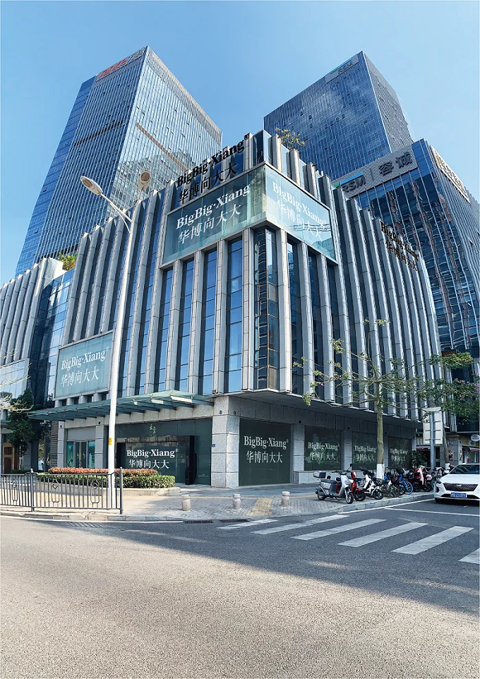 Wholesale Sanitary Napkin Pants - Period Panties for Adults